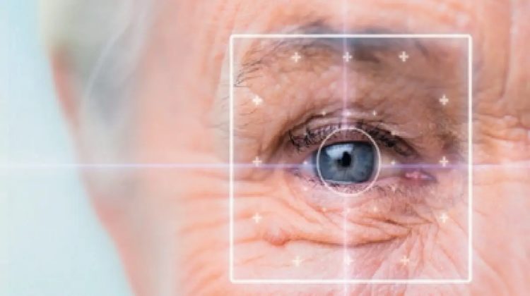 Le Doro 8220, le nouveau smartphone pour seniors, est disponible en ...