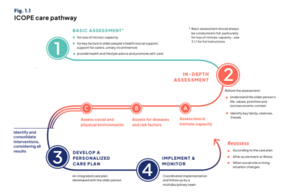 ICOPE : La version 2 du guide de l'OMS est disponible - Portail ...